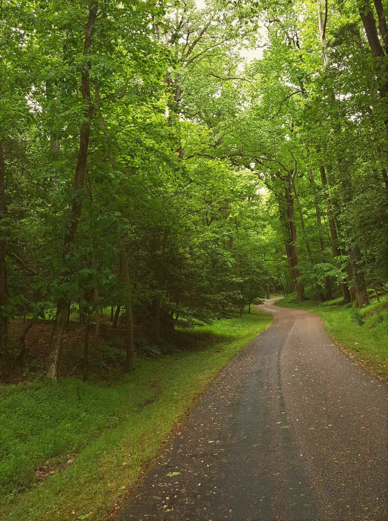 Where Are We Going Cents To Thrive where-are-we-going-cents-to-thrive